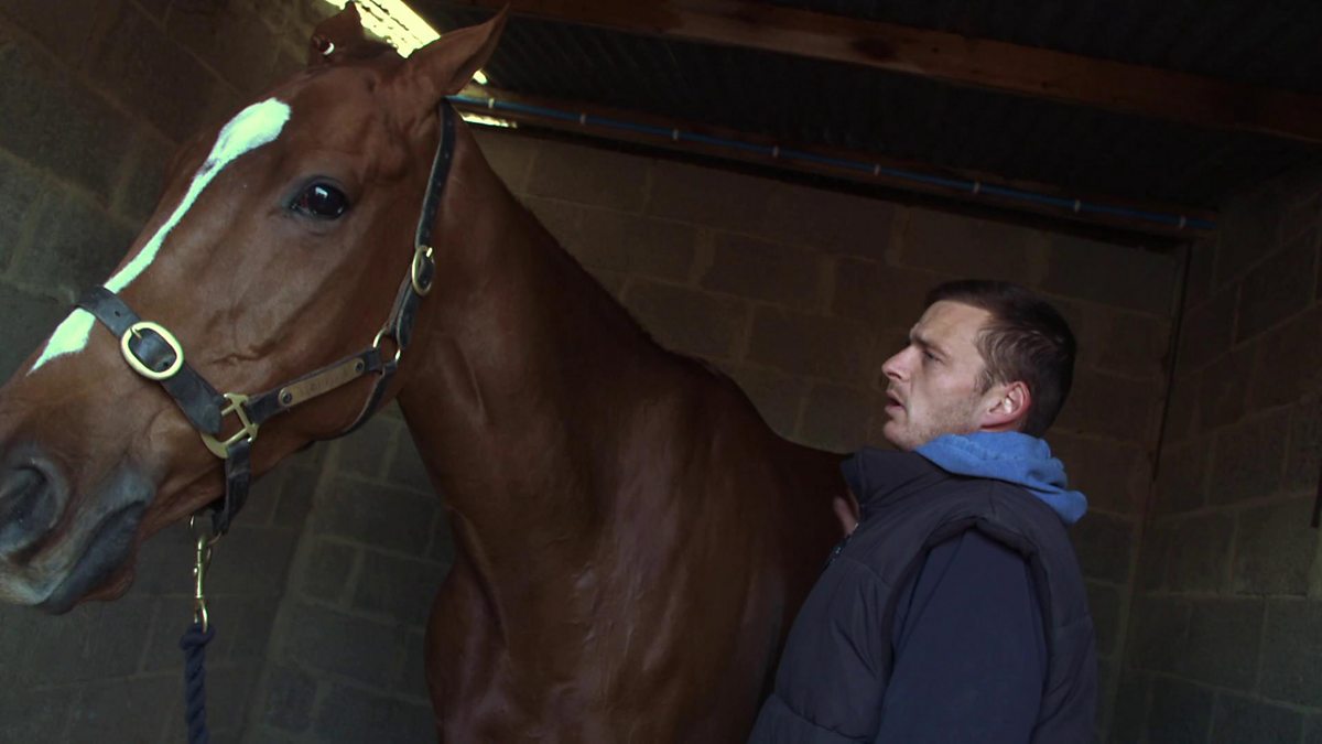 BBC One - The Horsey Set... At Down Royal, Series 1, Episode 3, Samcro ...