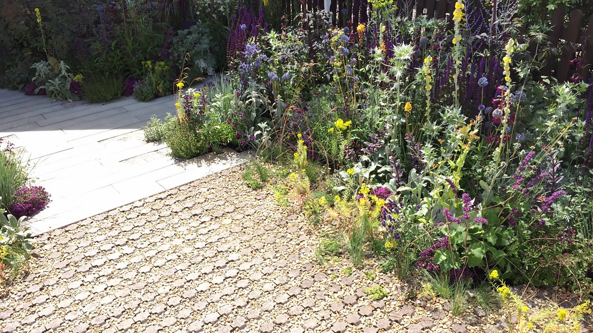 BBC Radio 4 - Gardeners' Question Time, Chelmsford