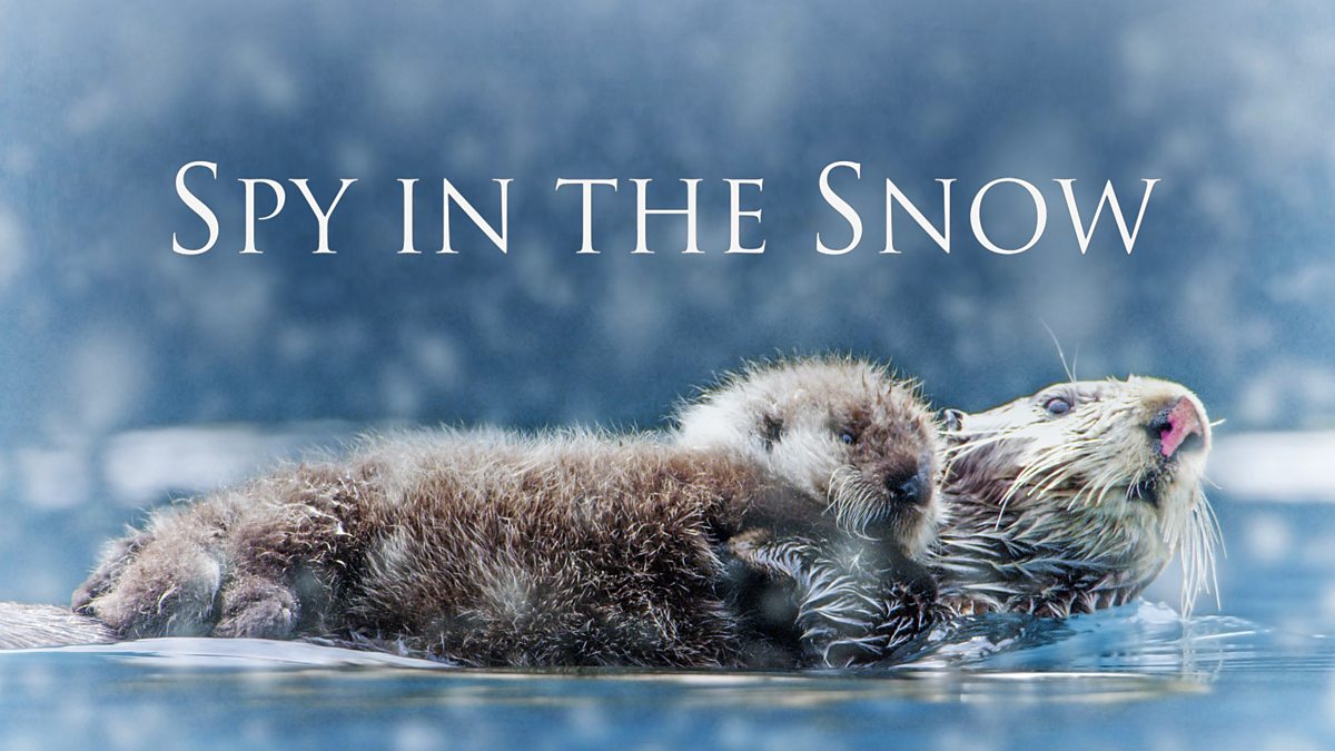 BBC One - Spy in the Snow