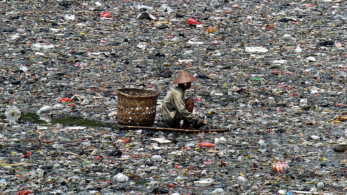 BBC World Service - The Compass, The History of Wastefulness, The ...