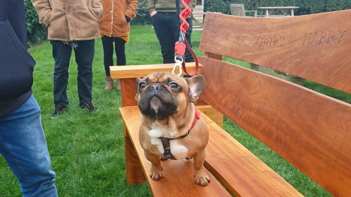 BBC Radio Solent - Steve Harris, Corfe Mullen landfill site could ...