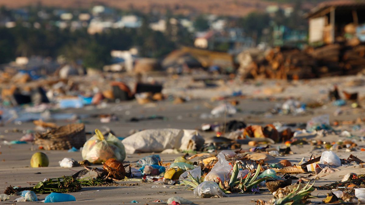 BBC World Service - The Compass, The History of Wastefulness, The ...