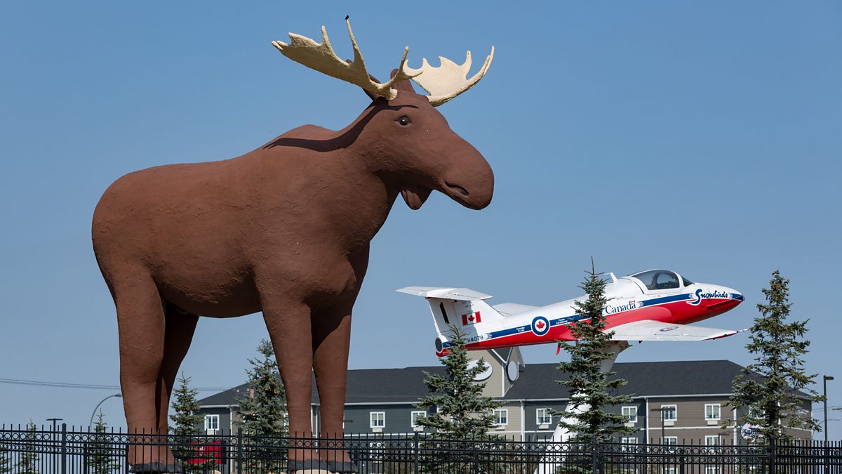 BBC World Service - Newsday, Don't mess with Mac the Moose