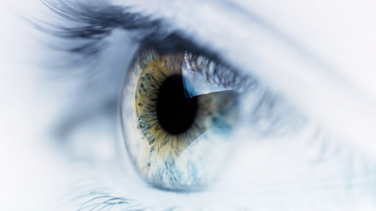 BBC World Service - Discovery, Science Stories: Series 7, Ibn al ...