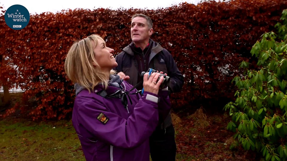 BBC Two - Winterwatch, Winterwatch presenters battle it out!