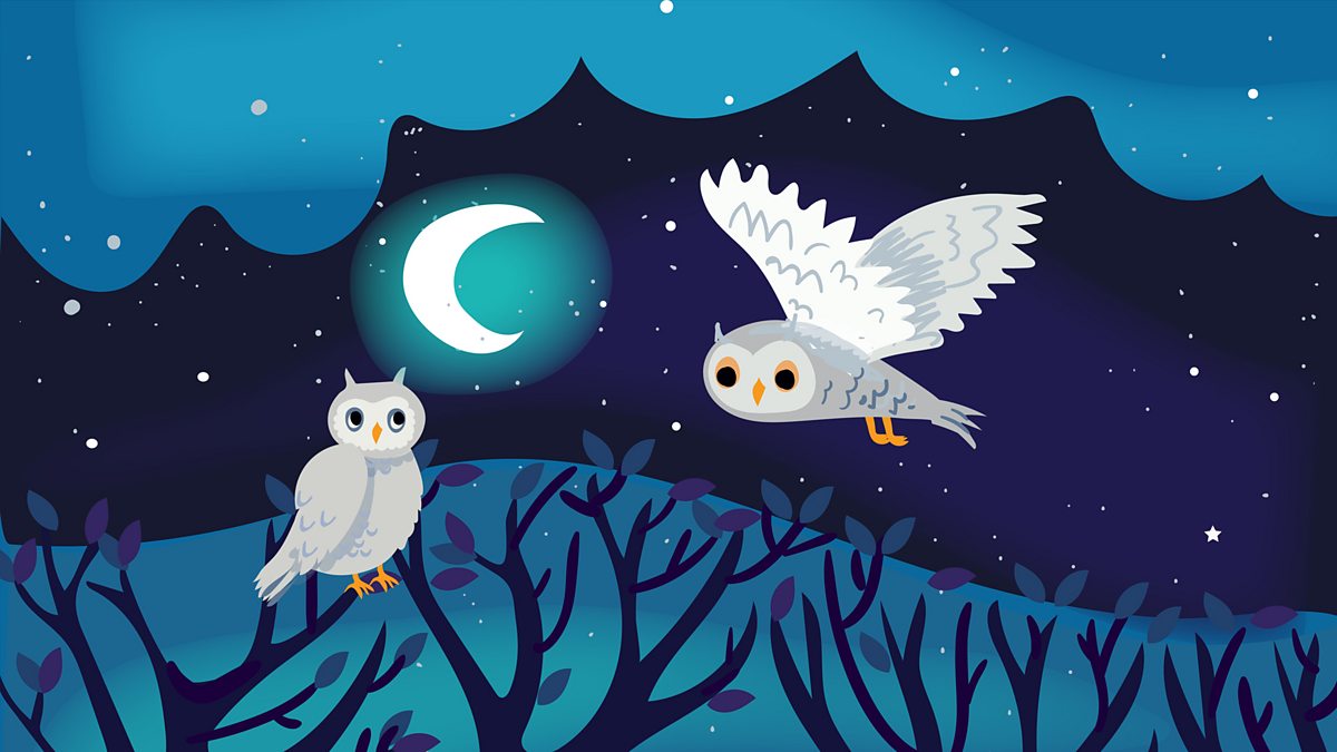 CBeebies Radio - Sleepy Stories, Baby Owl and the Solar Eclipse