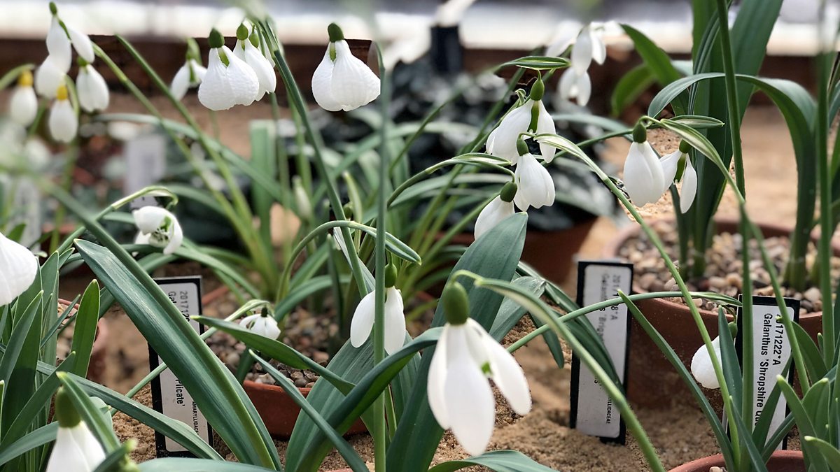 BBC Radio nan Gàidheal - Feasgar, Tha Mark Newman ag innse eachdraidh ...