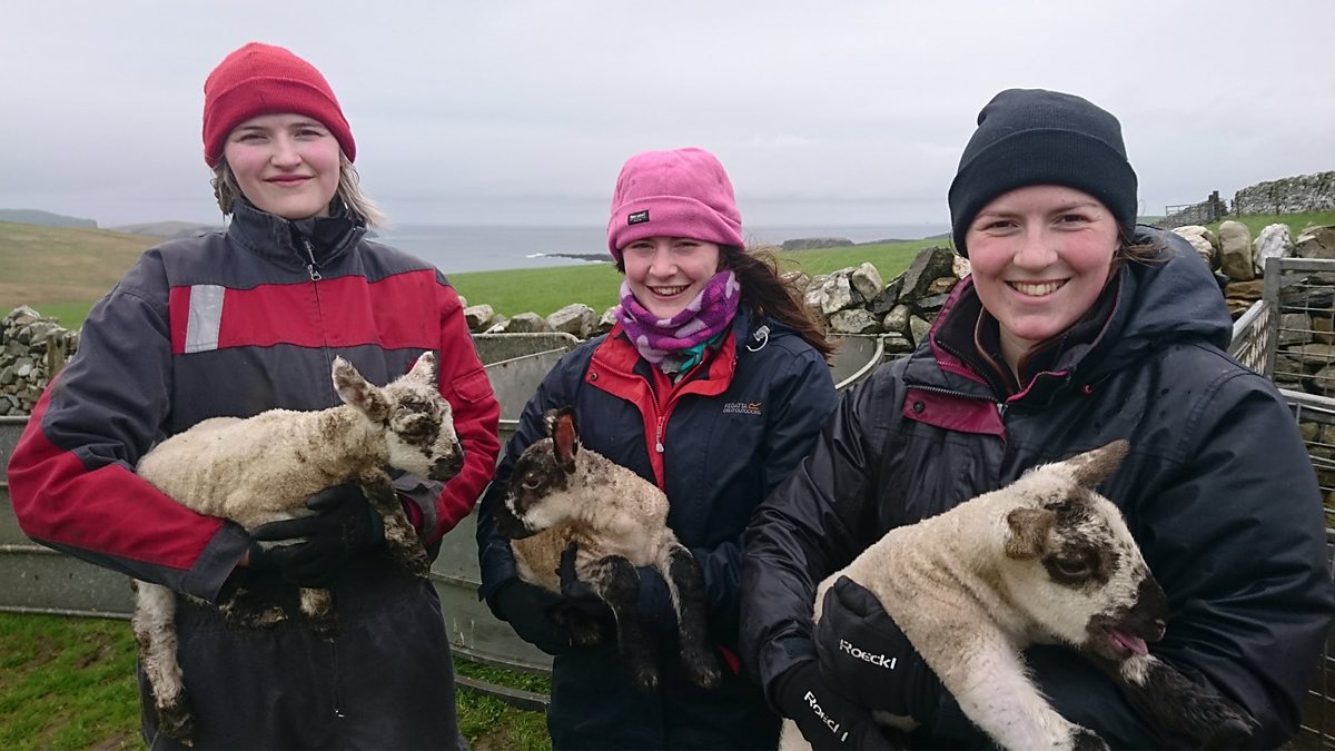 BBC Two - This Farming Life, Series 3 - Episode guide