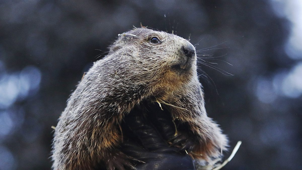 BBC Radio 4 - More or Less: Behind the Stats, WS More or Less: From the ...