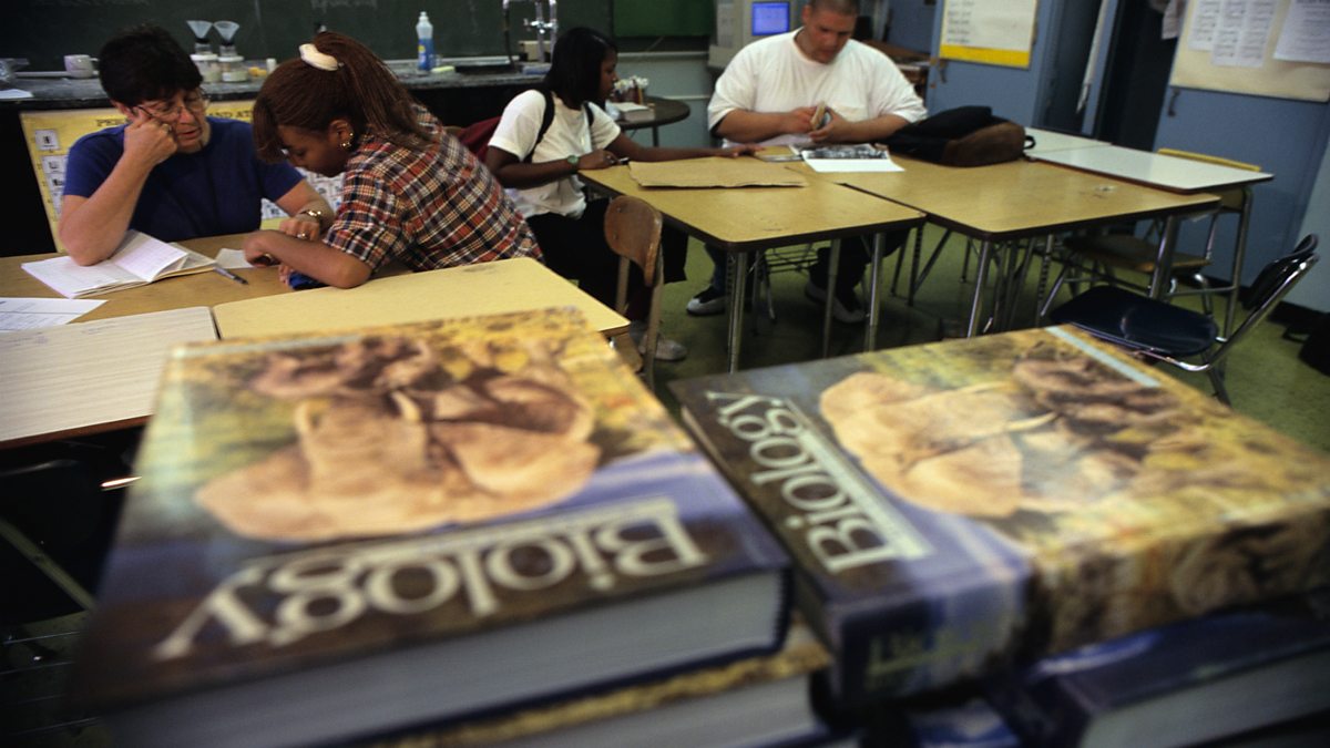 BBC World Service - Science In Action, Race and racism in science teaching