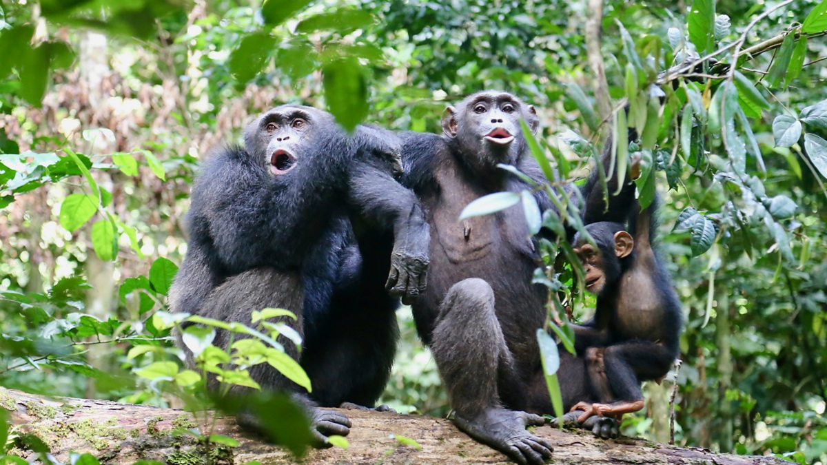 BBC World Service - Science In Action, How humans are changing ...