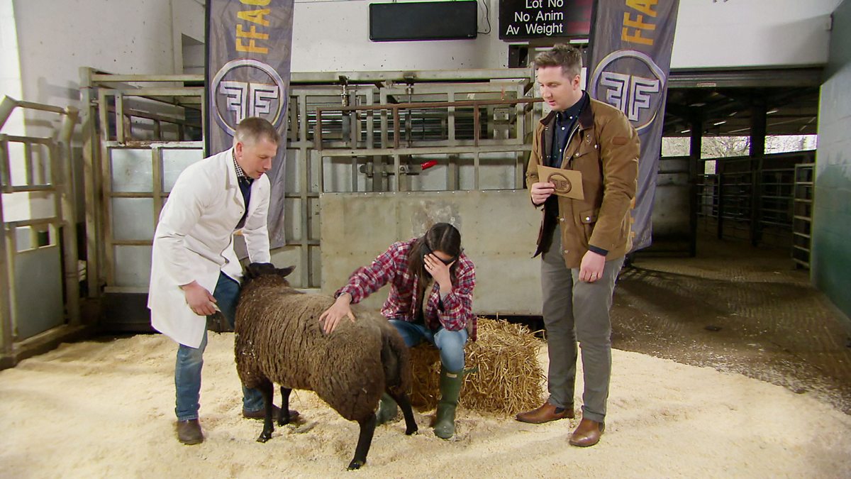 S4C - Fferm Ffactor, Series 2, Pennod 3