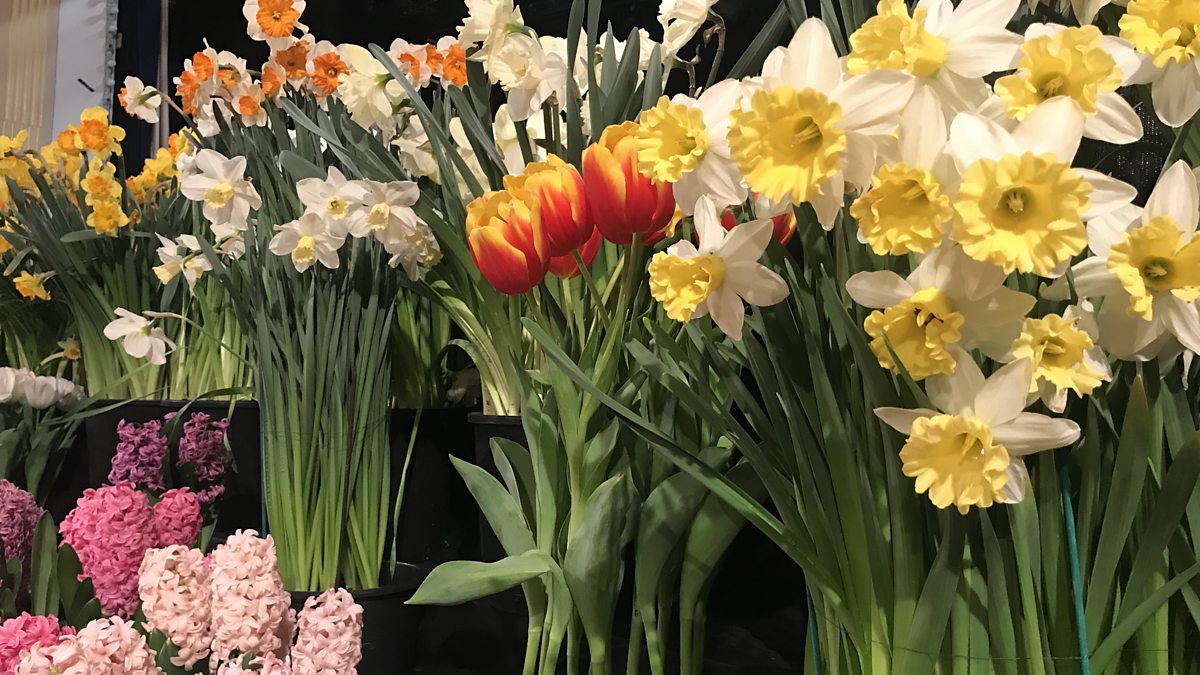 BBC Radio Cornwall - Jack Murley, 24/03/2019, '...people enjoying ...