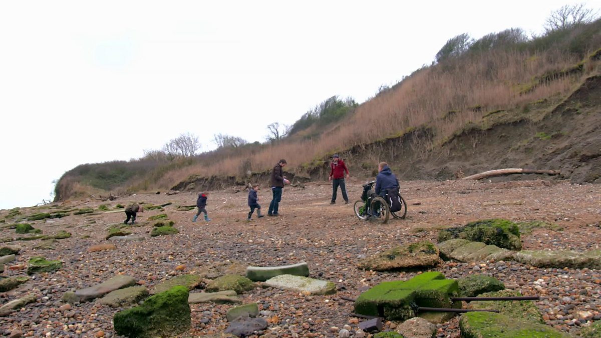 BBC One - Blue Planet UK, Series 1, Episode 3, Shark teeth are among ...