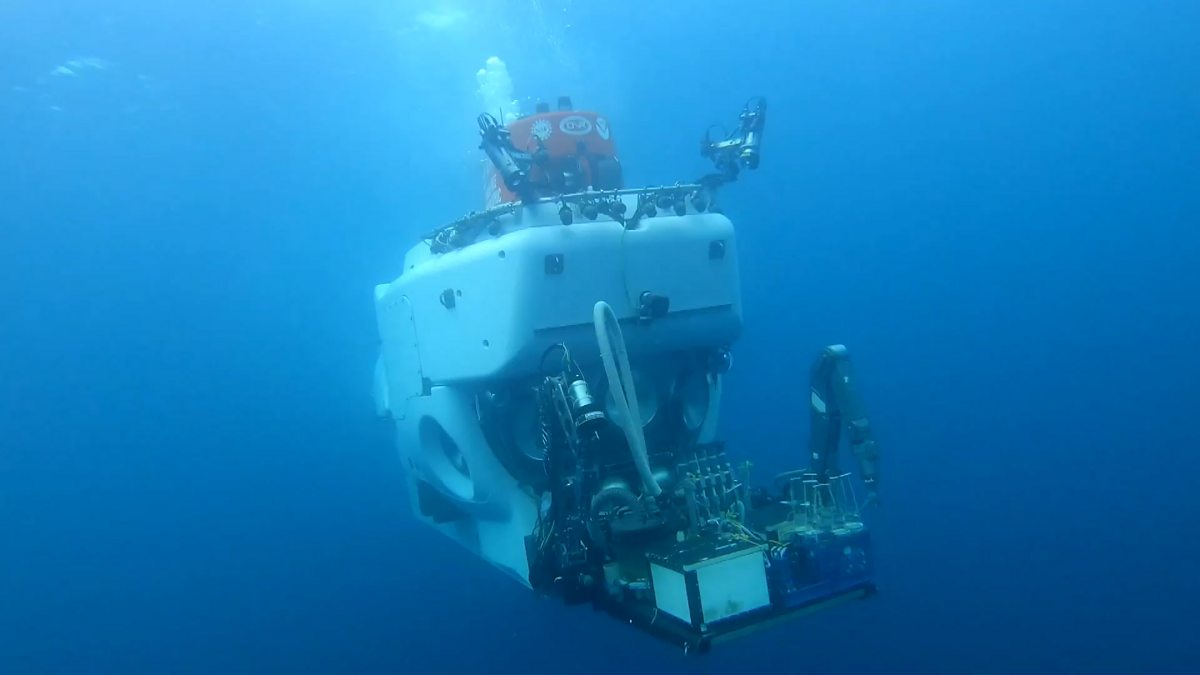 BBC One - Blue Planet Live, Series 1, Episode 2, Diving deep with Alvin