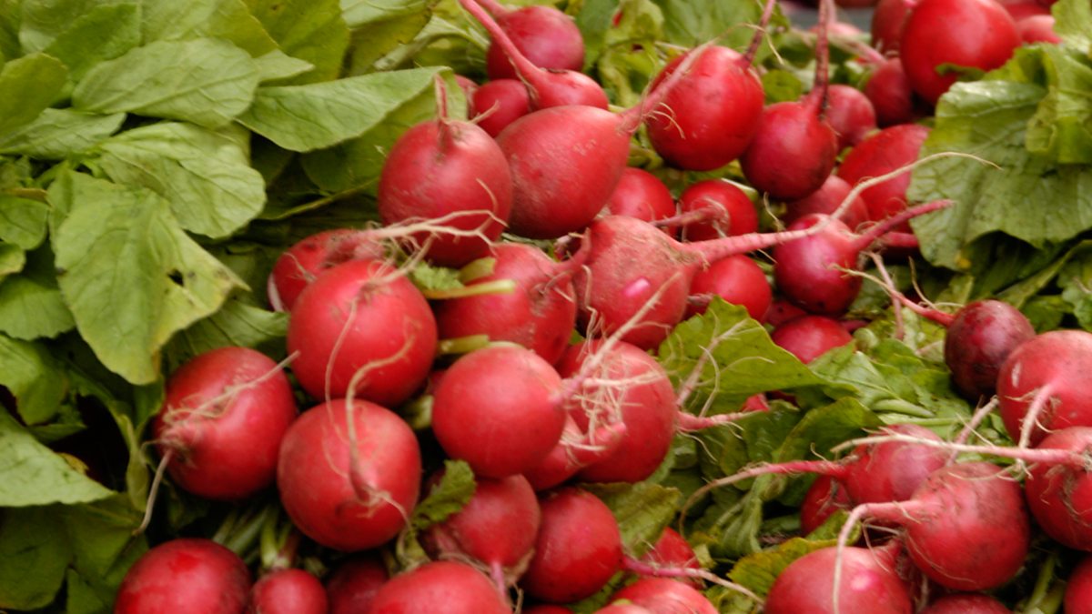 BBC Radio 4 - Gardeners' Question Time, East Meon