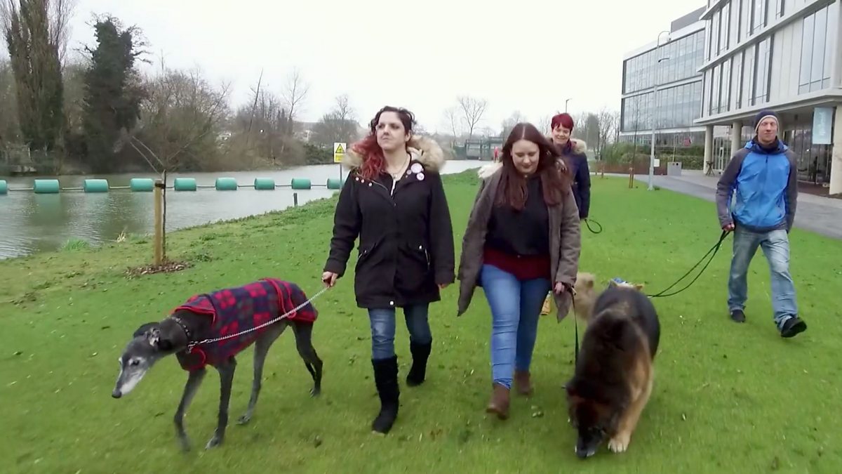 BBC One - The One Show - The One Show launches nationwide dog food ...