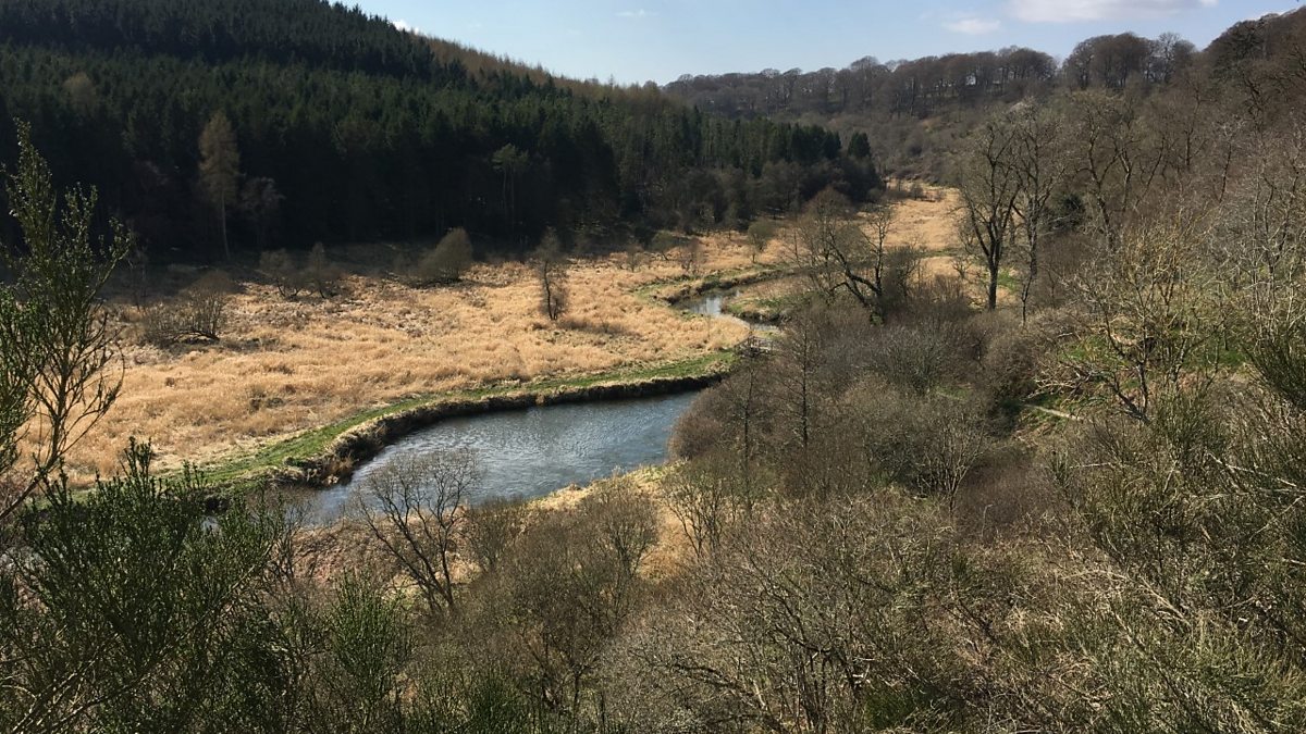 BBC Radio Scotland - Out of Doors, Jim Crumley and the River Ythan, The ...