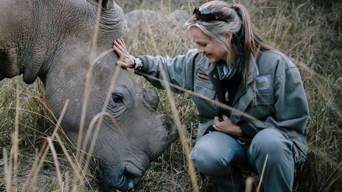 BBC World Service - Newsday, The women risking their lives to protect ...