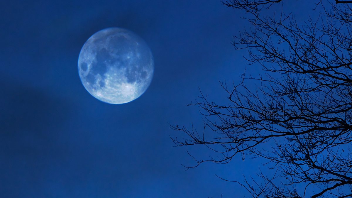 BBC Radio 4 - Curious Cases, Series 13, The Lunar Land, Part 1, How was ...