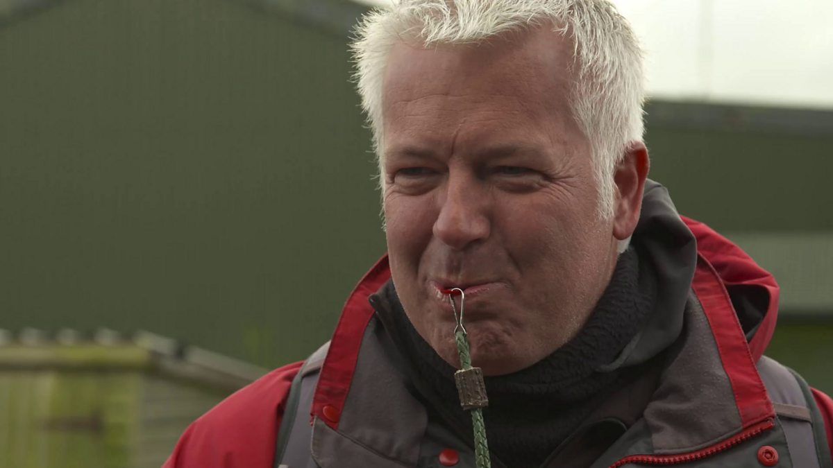 BBC One - Weatherman Walking, The Welsh Coast, Abereiddy to Whitesands ...