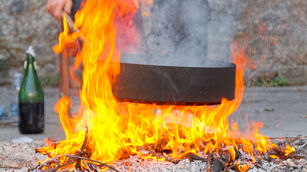 BBC World Service - CrowdScience, Did cooking make us human?