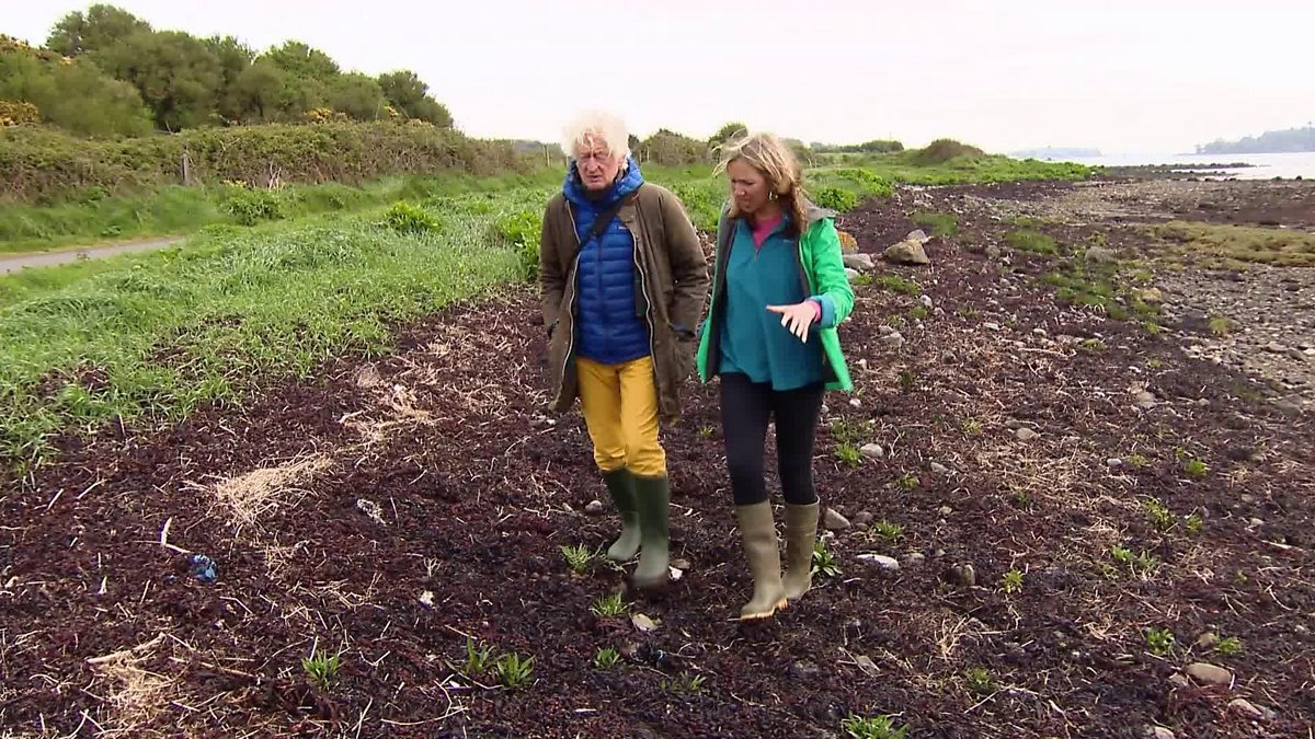 BBC One - Home Ground, Series 6, Episode 1, Ruth goes foraging