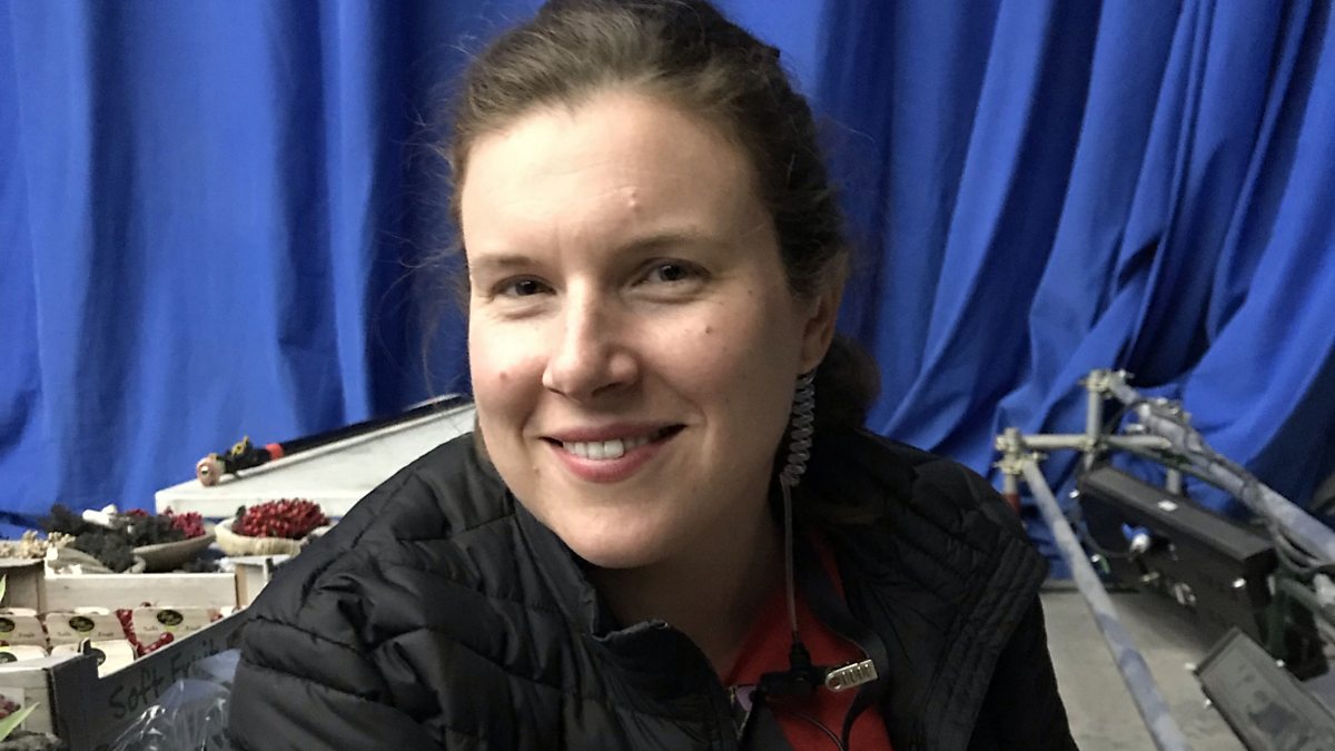 BBC Radio Solent - David Allen, 11/05/2019, Behind the Scenes with Unit ...