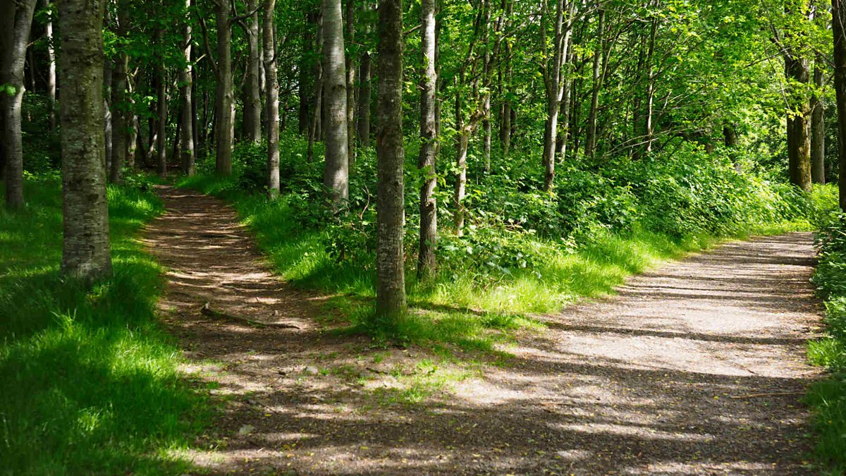 BBC Radio Ulster - Thought for the Day, Denis Tuohy, Thursday 23rd May 2019