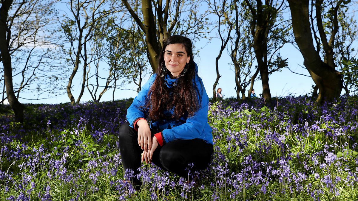 BBC Radio Ulster - Blas, Caoimhe Ní Chathail, 'Wild North and Warming'