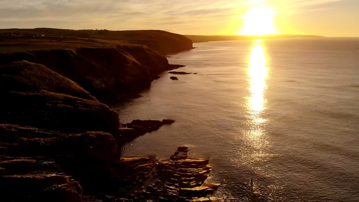 BBC Two - Springwatch, The UK coastline is stunning