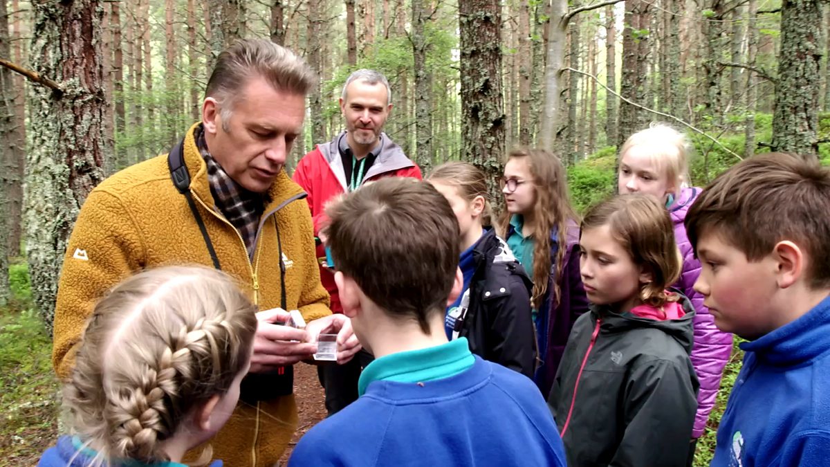 BBC Two - Springwatch, We're going on a bug hunt...