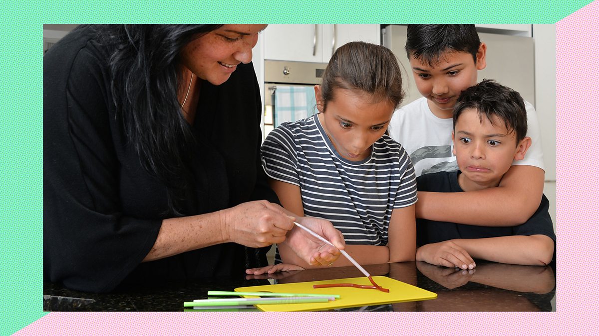 BBC Radio 4 - Woman's Hour - Six ways parents can get kids into science ...