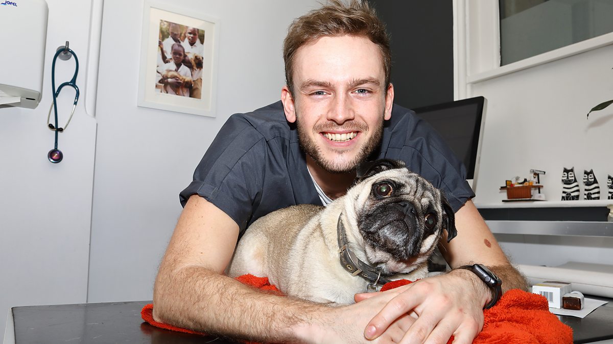 The Pets Factor - Series 5: 6. Bunk, Eric and Jack - BBC iPlayer