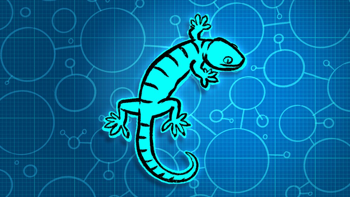 BBC World Service - 30 Animals That Made Us Smarter, Gecko and adhesives
