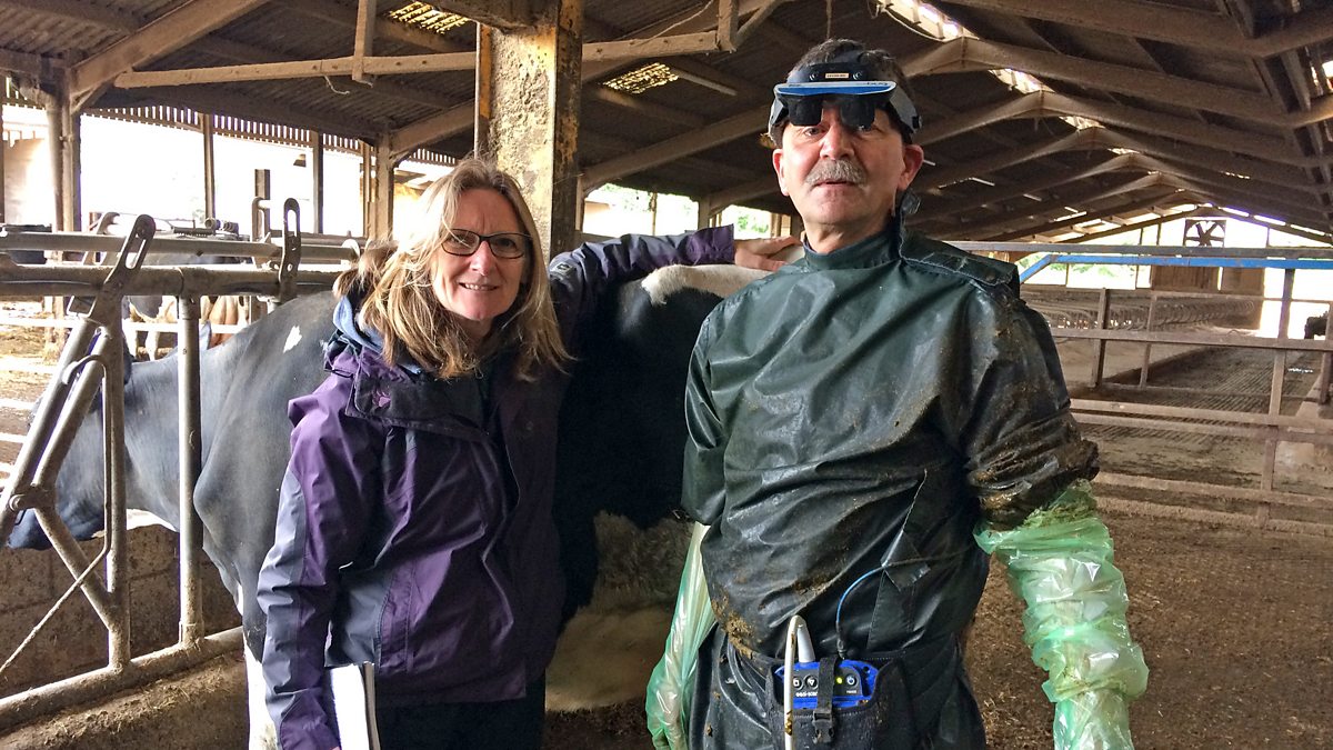 BBC Radio 4 - On Your Farm, A Vet's Life