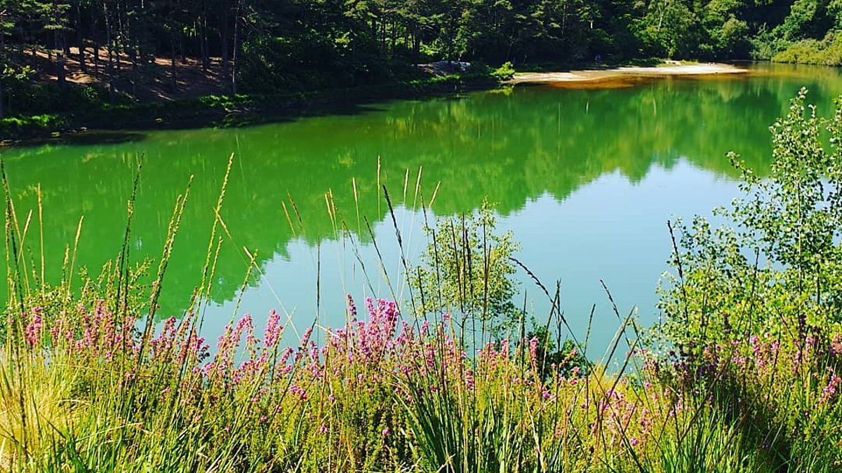 BBC Radio Solent - Steve Harris, Richard Latto sits in (24/07/2019 ...