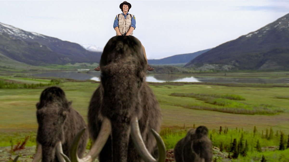 Andys Prehistoric Adventures - 2. Woolly Mammoth and Tusk - BBC iPlayer