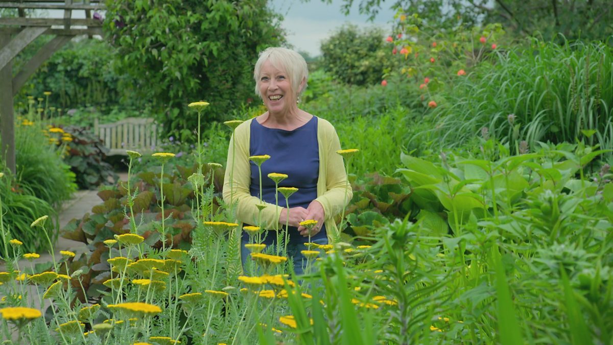 BBC Two - Gardeners' World, 2019, Episode 19, Summer sensations