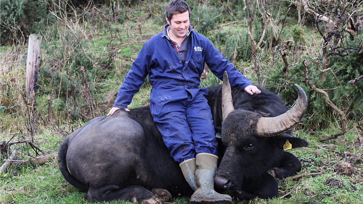 BBC Two - This Farming Life, Series 3, Episode 9