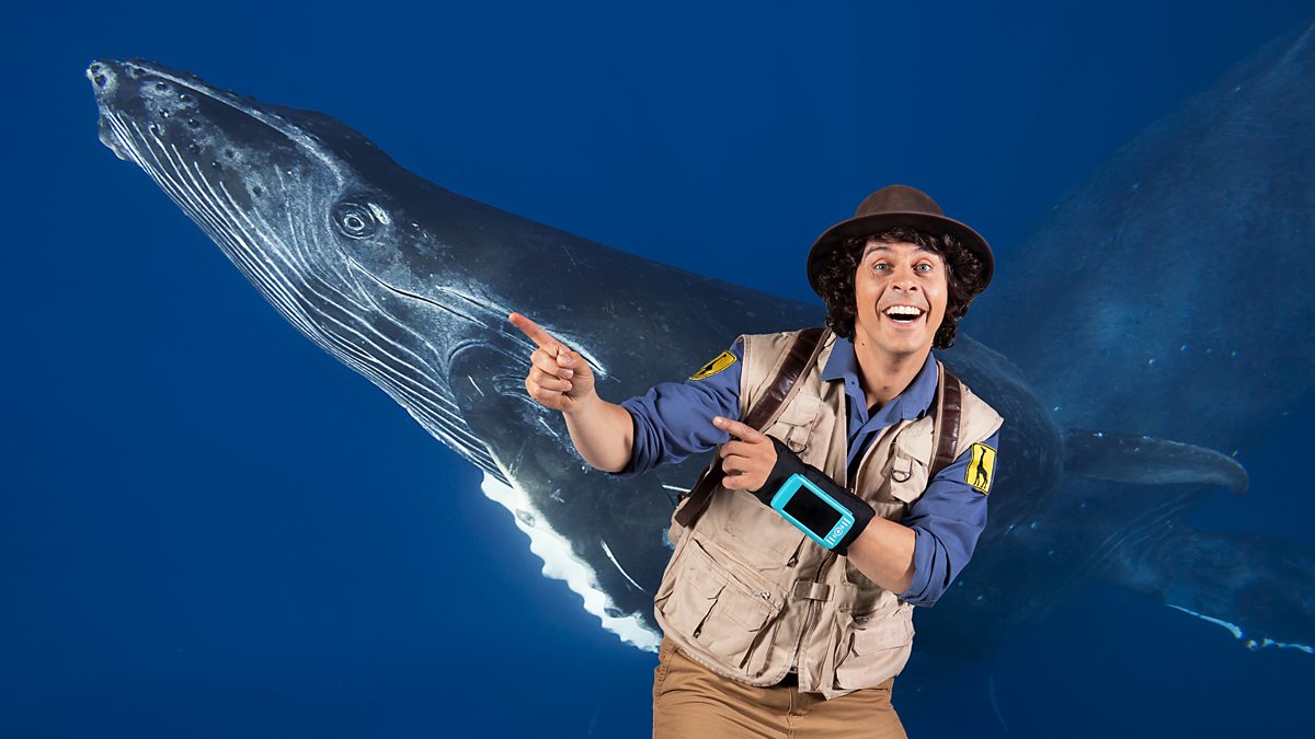 Andys Safari Adventures - Series 1: 31. Andy and the Humpback Whale ...