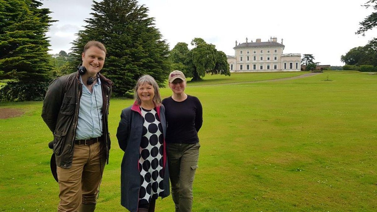 BBC Radio Ulster - Gardeners' Corner, Gardeners' Corner with David ...