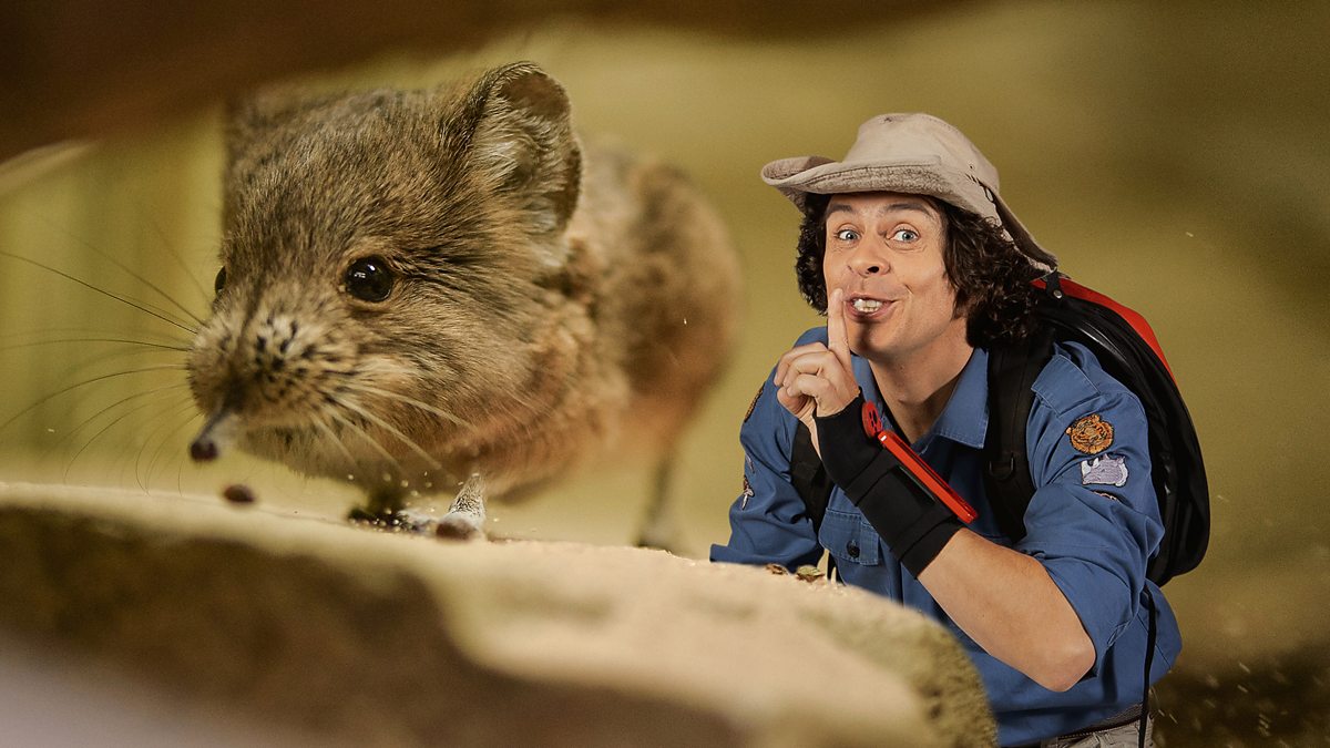 Andys Wild Adventures - Series 1: 10. Sengi - BBC iPlayer