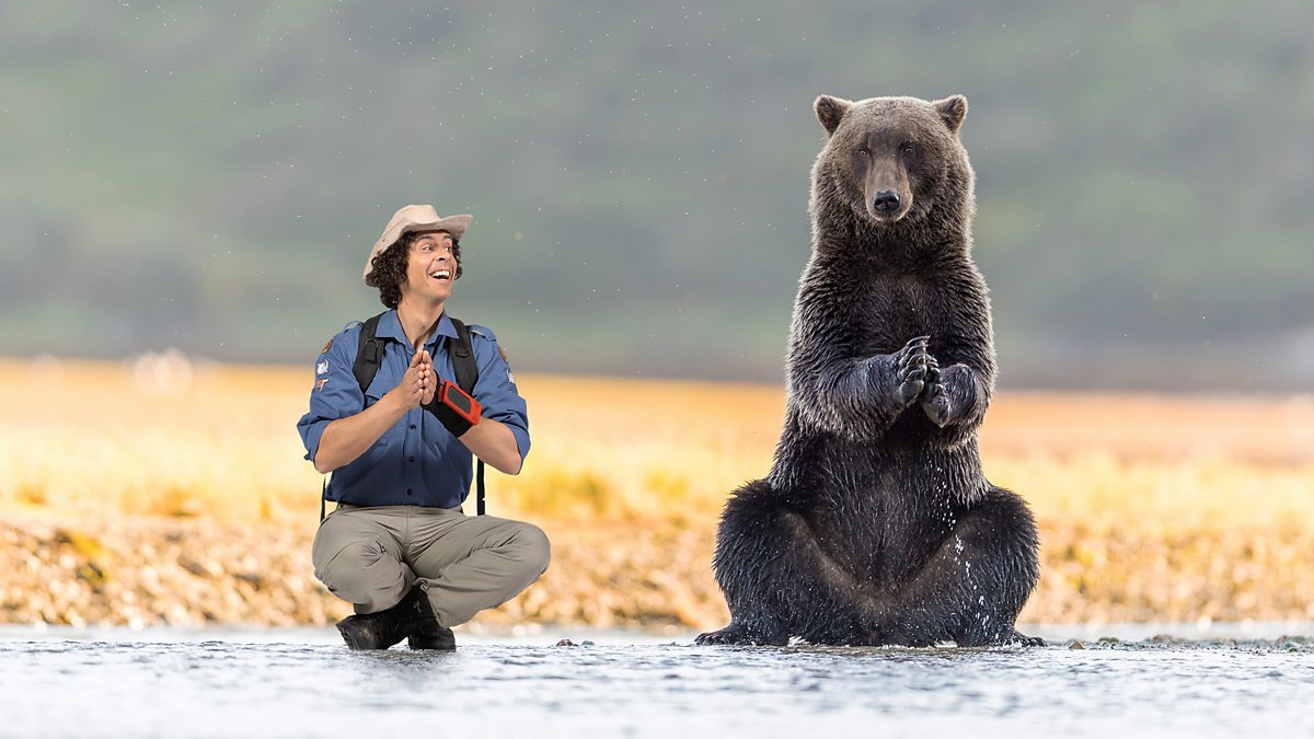 Andys Wild Adventures - Series 1: 11. Grizzly Bears - BBC iPlayer