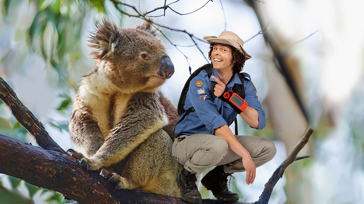 Andys Wild Adventures - Series 2: 3. Marsupials - BBC iPlayer