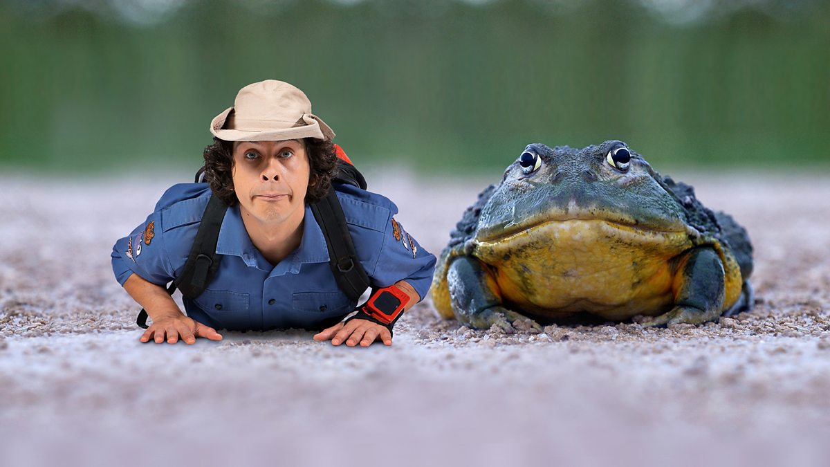 Andys Wild Adventures - Series 2: 15. Bull Frogs - BBC iPlayer