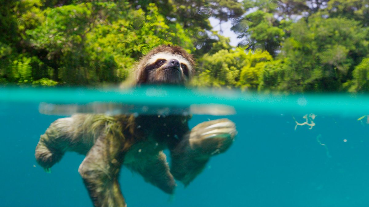 BBC IPlayer Planet Earth II 1 Islands BBC IPlayer Planet Earth II 1 Islands