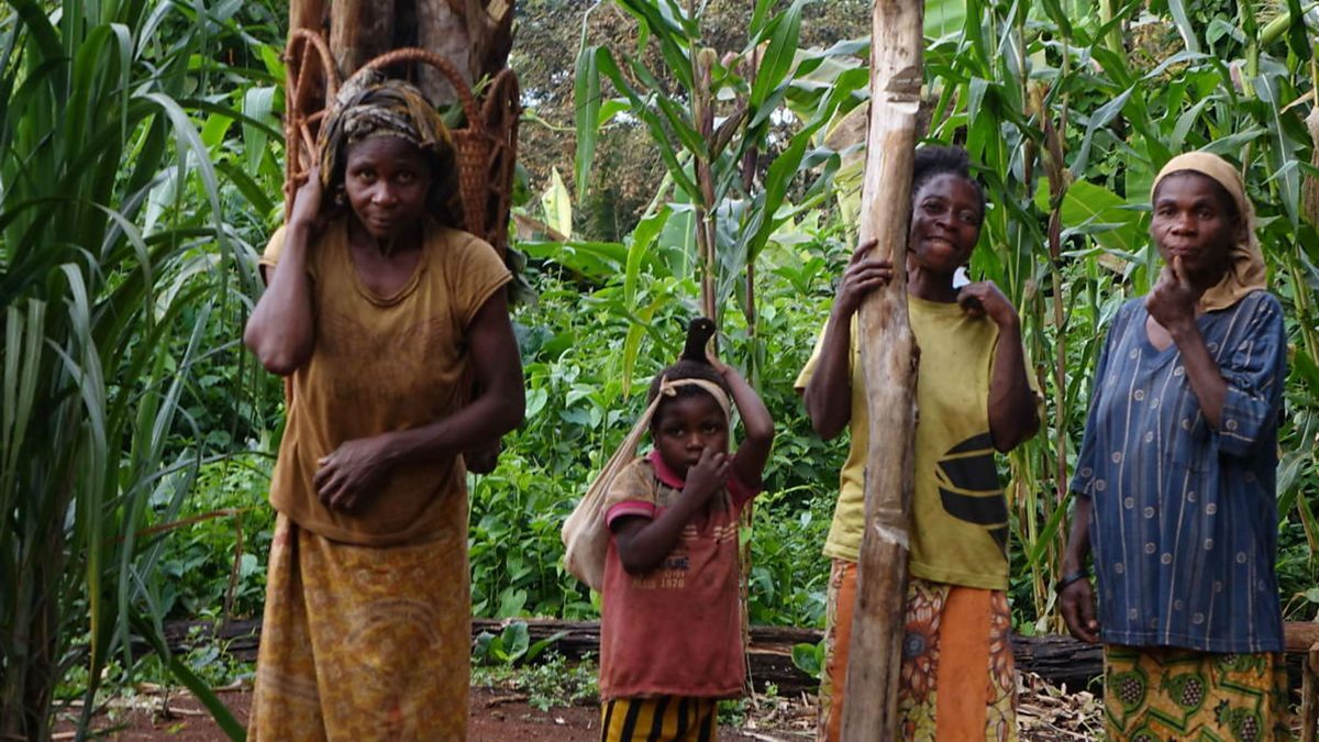 BBC World Service - Newsday, Baka people protest against rainforest ...