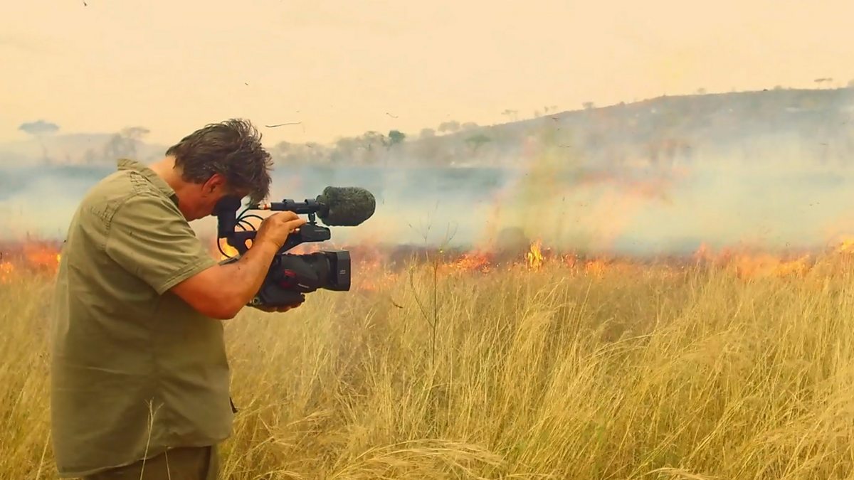 BBC One - Serengeti, Series 1, Behind the scenes - filming fire
