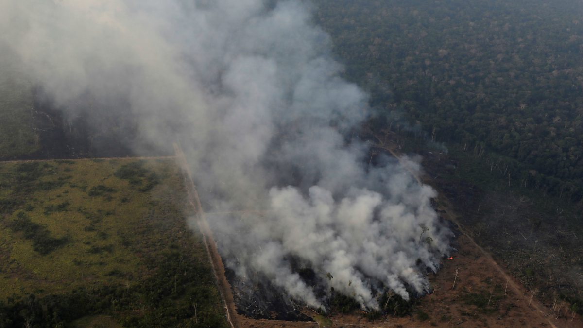 BBC World Service - World Update, Why is the Amazon burning?
